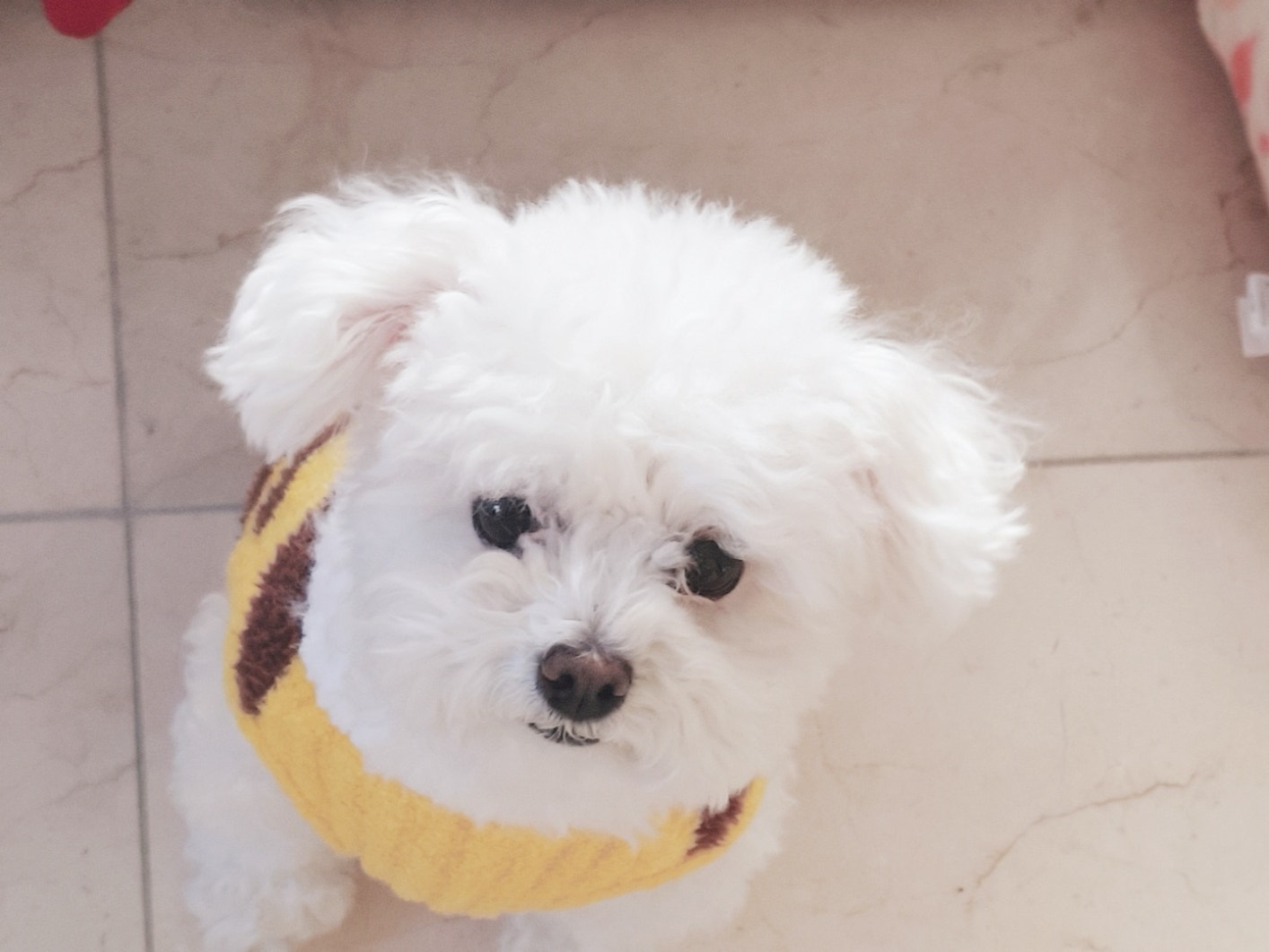 Weeekly 커뮤니티 포스트 오늘은 조아데이 ️ 2021년 두 번째 조아데이랍니닷 데일리는 오늘 하루 뭐 하구 보냈어요