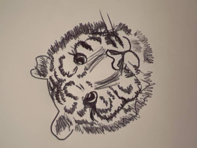 SEVENTEEN Community Post - tiger drawing for hoshi 🐯 ️ horanghae!!