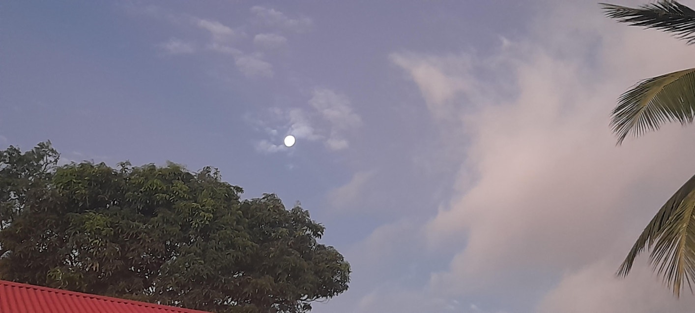 SEVENTEEN Community Posts - Do you see the moon ?? 🌕