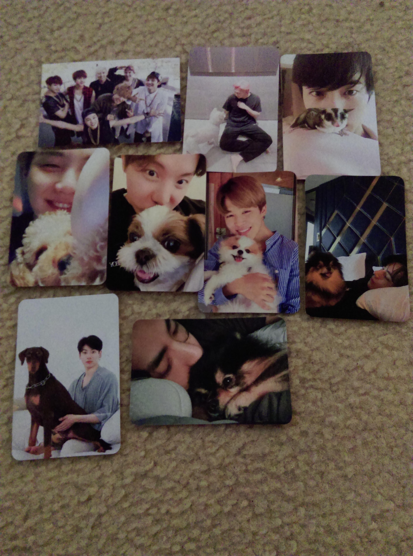 BTS Community Post - My BTS members with their pets photocards