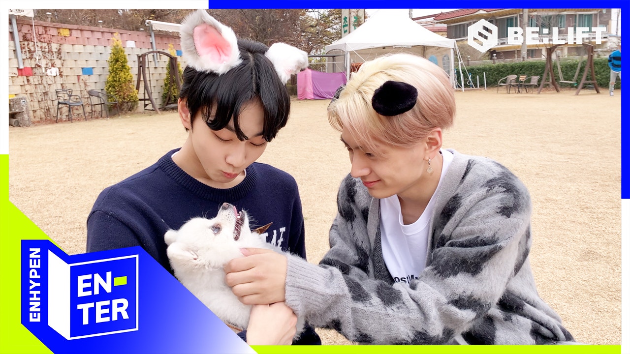 Weverse ENHYPEN Media - [EN-TER key] At the Dog Park - ENHYPEN (엔하이픈 ...