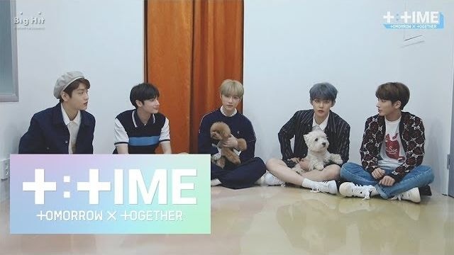 Weverse TOMORROW X TOGETHER Media - [T:TIME] 'Cat & Dog' interview with ...