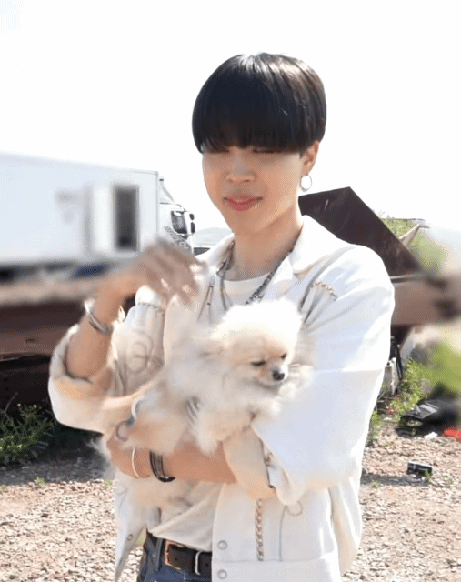 Bts Community Post 🇺🇸🐥⩛🐥jimin🧡time🐥⩛🐥🇺🇸 🐱가 되고 싶다 ···🐶가 되고 싶다💜 이쪽은
