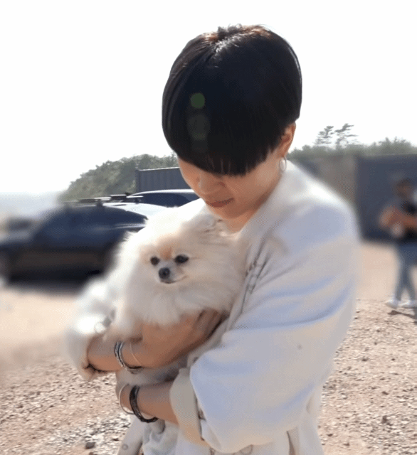 Bts Community Post 🇺🇸🐥⩛🐥jimin🧡time🐥⩛🐥🇺🇸 🐱가 되고 싶다 ···🐶가 되고 싶다💜 이쪽은