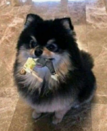 BTS Community Post - who did this edit 😂😂😂tannie!!! #tannie #jin