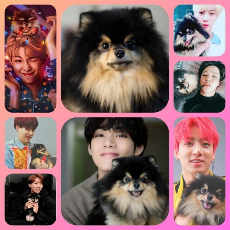 BTS Community Post - Happy Birthday to you Yeontan 💜🎂🎂🎂 cutest baby in ...