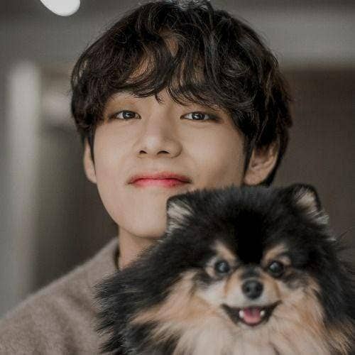 BTS Community Post - Hey!! My fellow Armys if you have'nt known about ...