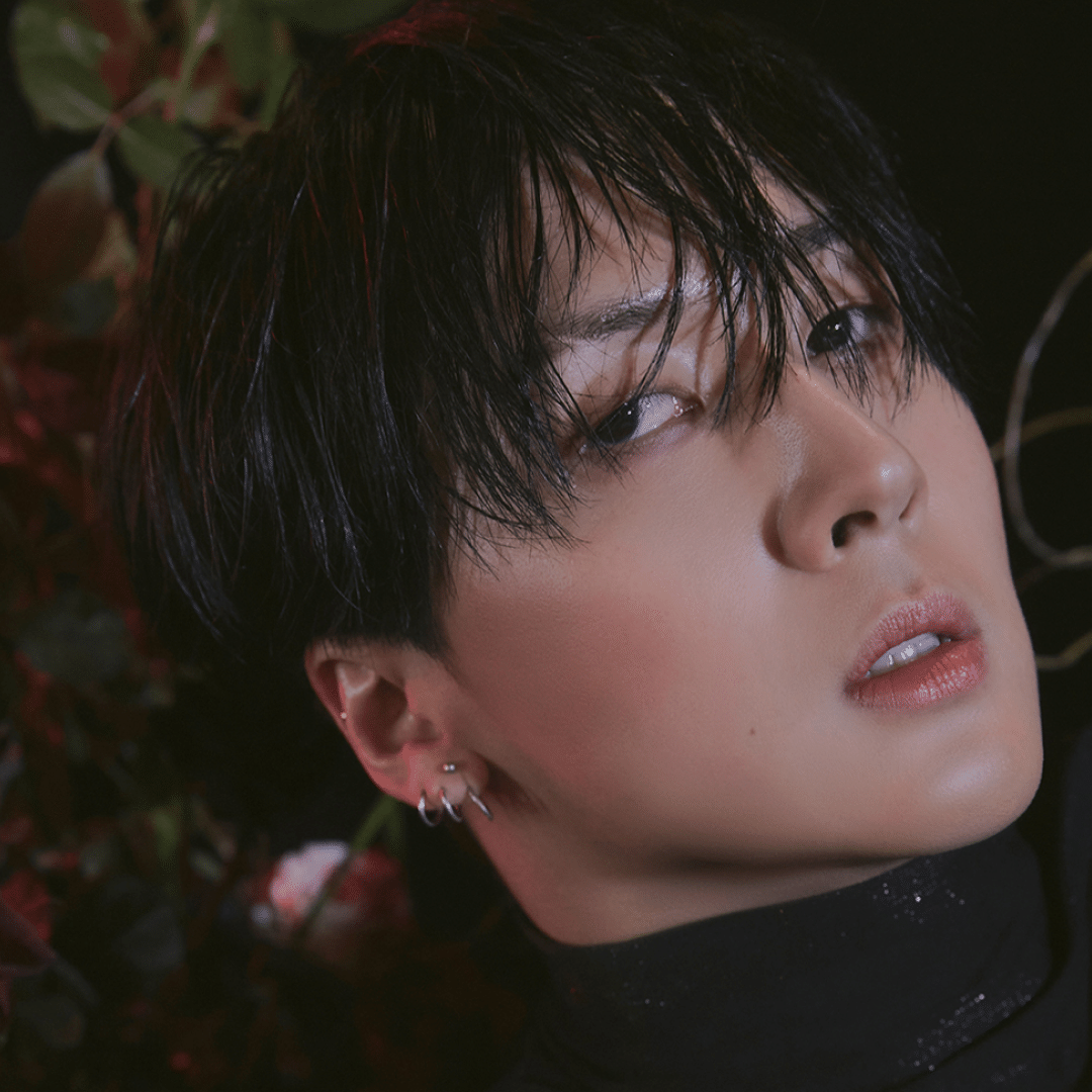 Official profile and news from RAVI