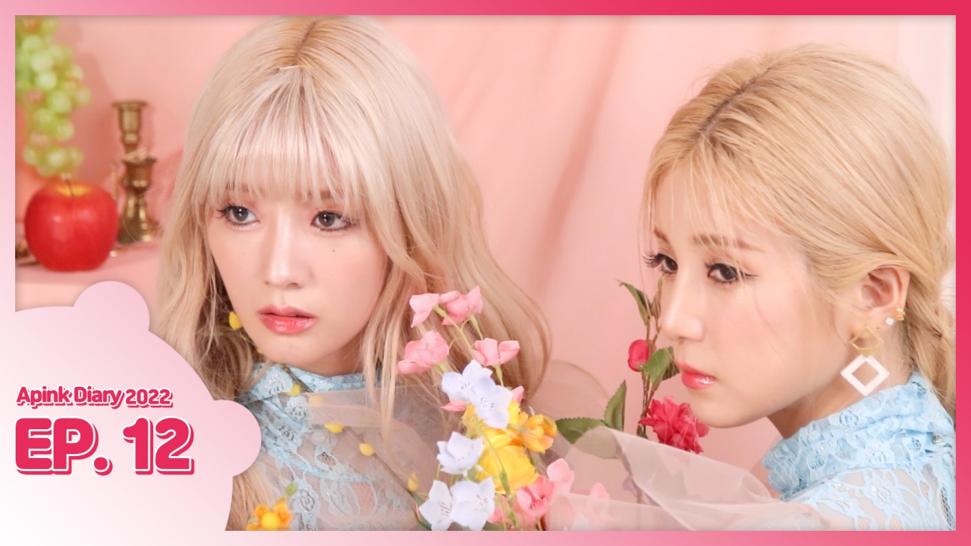 Apink Diary 2022 EP.12 ('Copycat' Jacket Making Film)