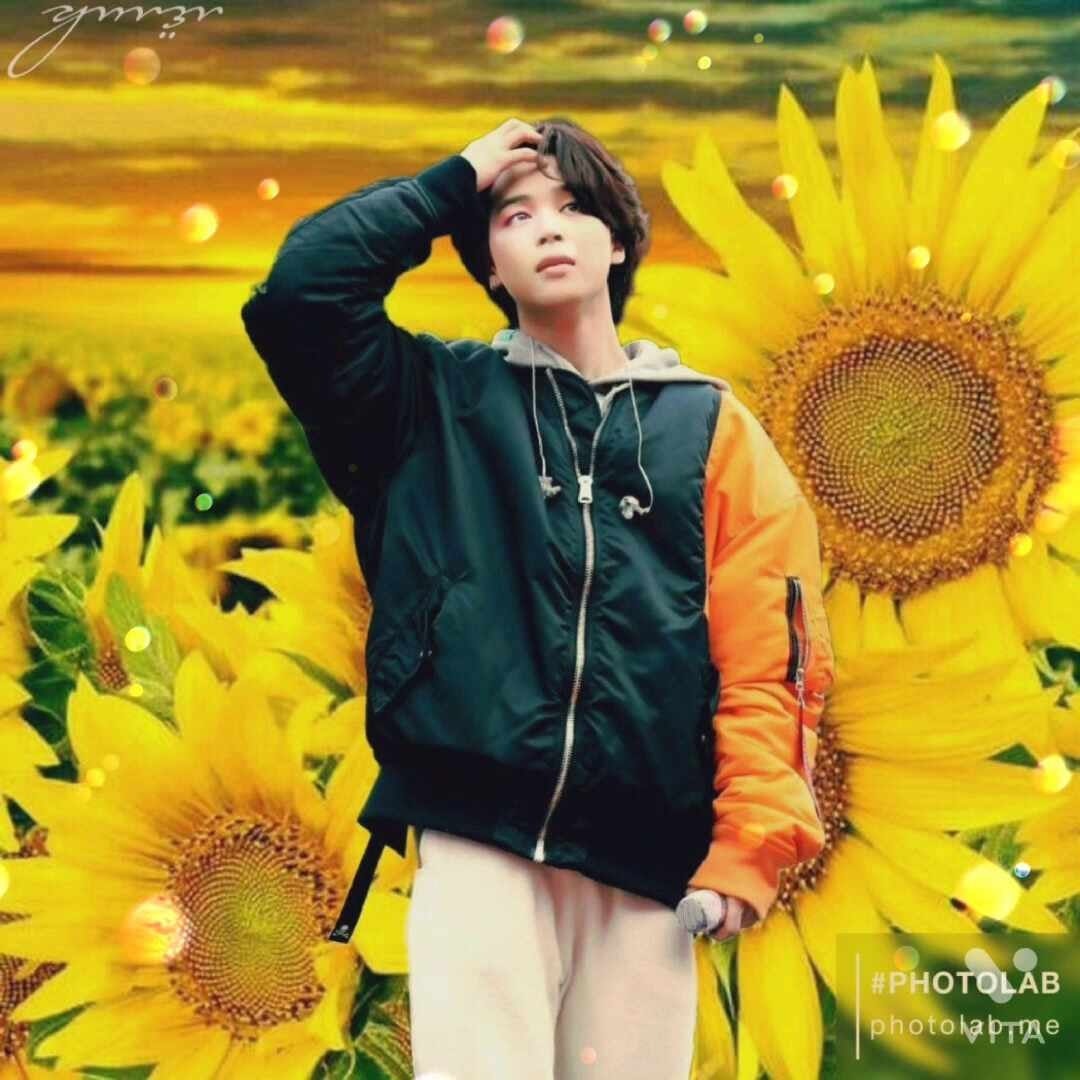 BTS Community Post - 💛𓈒˳𓈒🌻 𓂃 ˳*𝙹𝚒𝚖𝚒𝚗♡𝚝𝚒𝚖𝚎*˳ 𓂃 🌻𓈒˳𓈒💛 ジミンちゃん💛ｱﾝﾆｮﾝﾊｾｮ🌸 ジミンちゃん♡今日は一日とってもhappyでした💕💕💕 ...