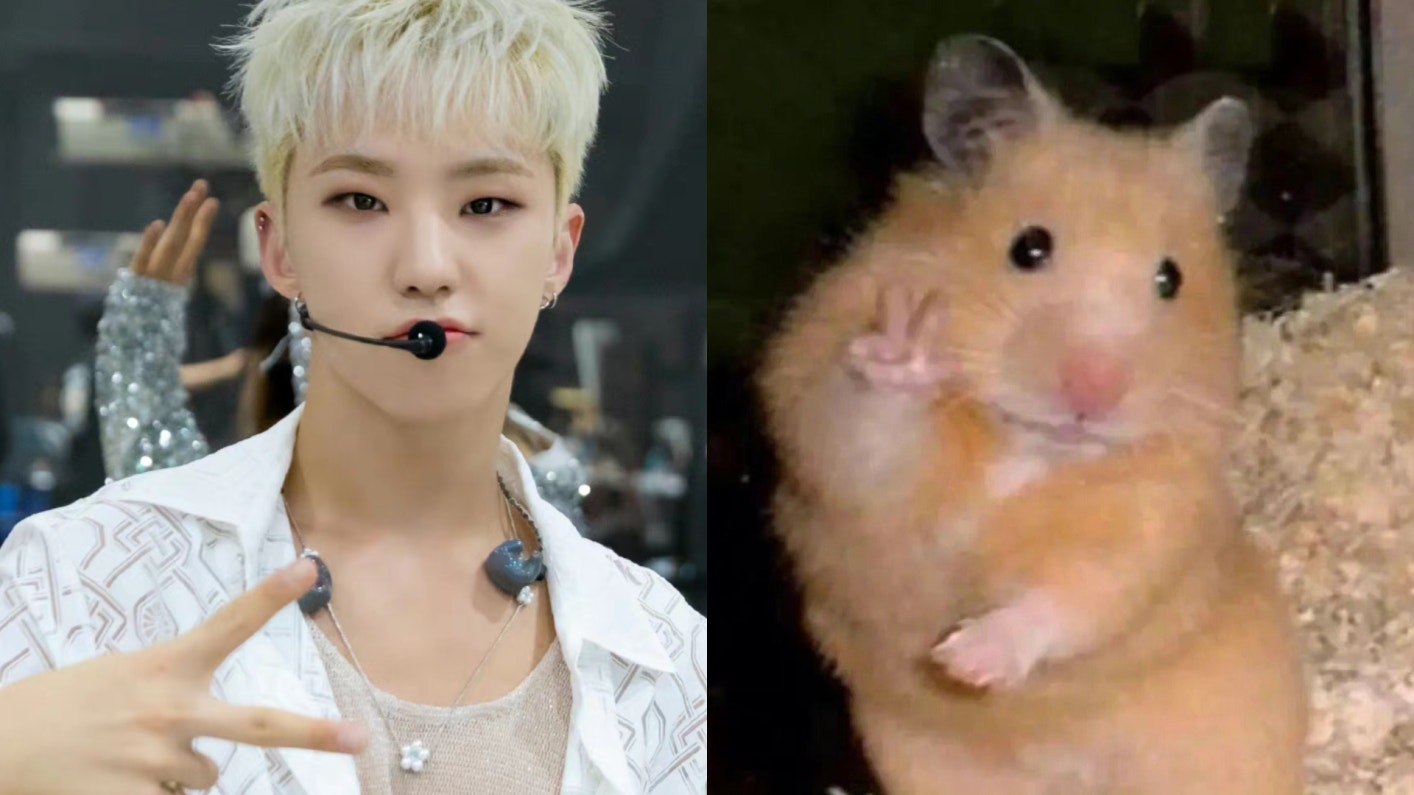 SEVENTEEN Community Post - #hoshi Emmmm....... Is a hamster!