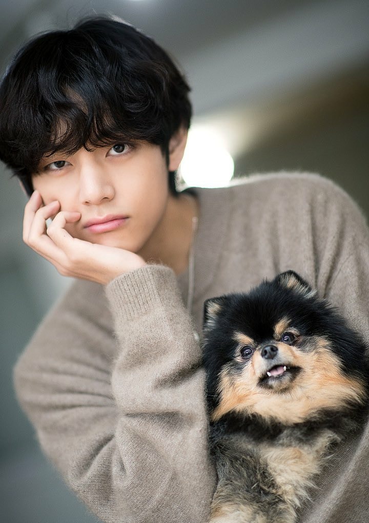 BTS Community Post - Happy Birthday Yeontan 🐶 #happybirthdayeontan # ...