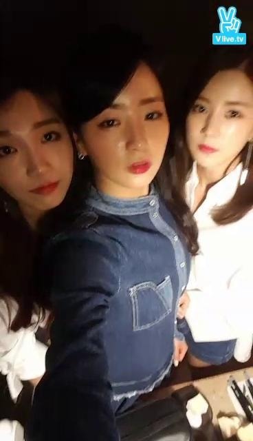 Apink Broadcast (떨어뜨려서 다시...)