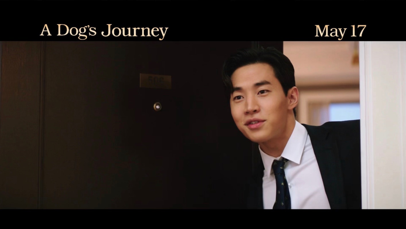 위버스 HENRY Media - A Dog's Journey (2019) 영화 예고편 - Official Movie ...