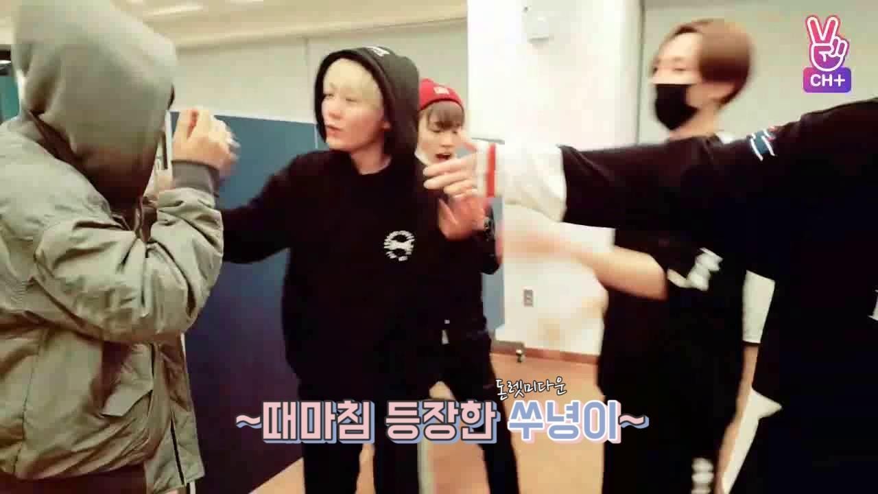 위버스 SEVENTEEN Media - [CH+ mini replay] [SEVENTEEN] 우리 왔어요!!!다들 어디계세요 ...