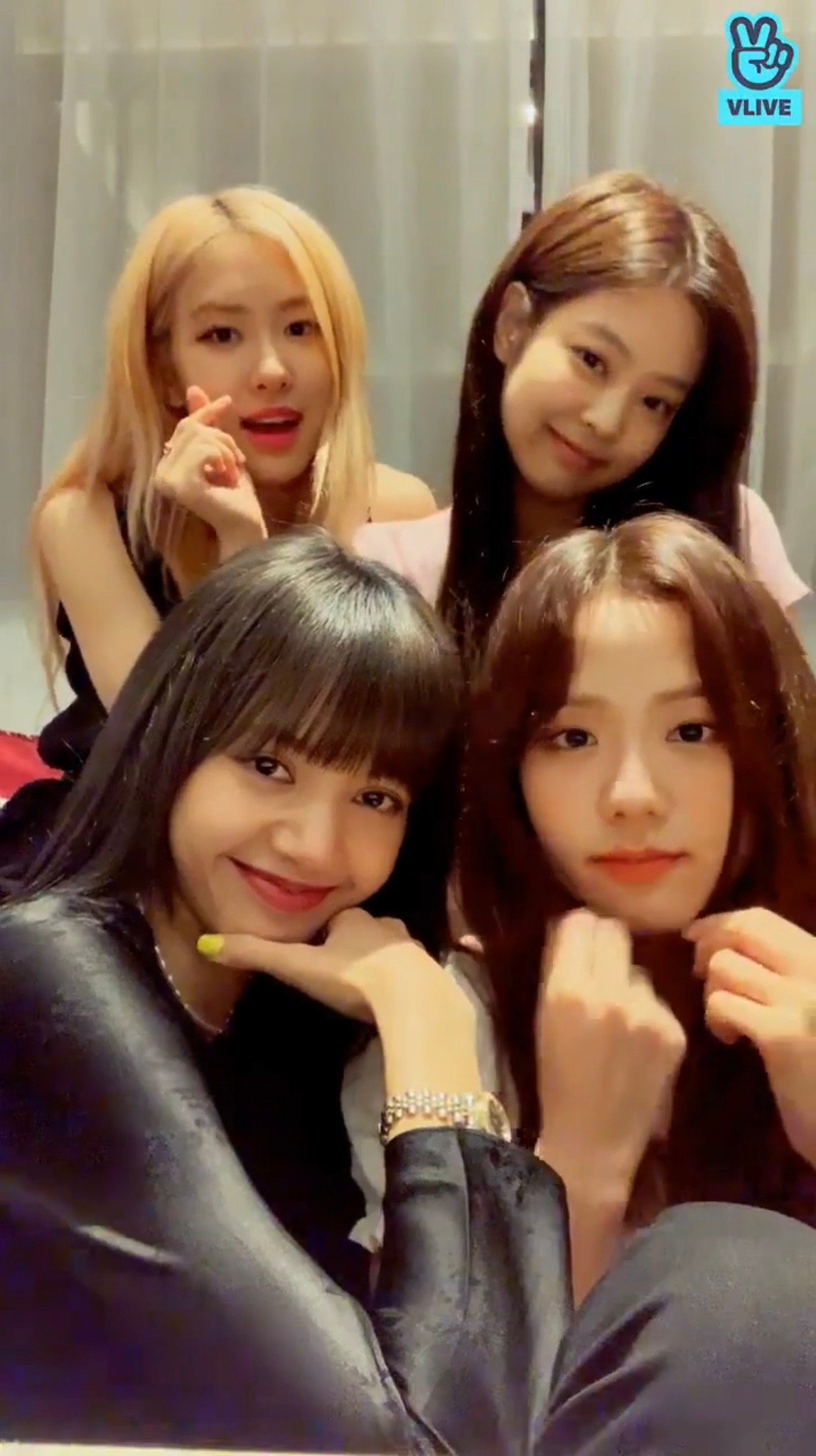 비둘기 모여라🐰