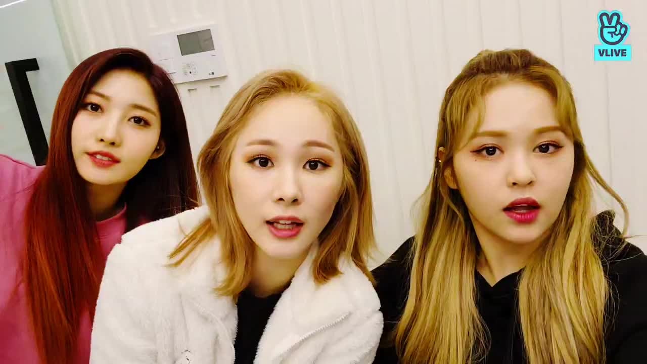 We Also Came Too 😿