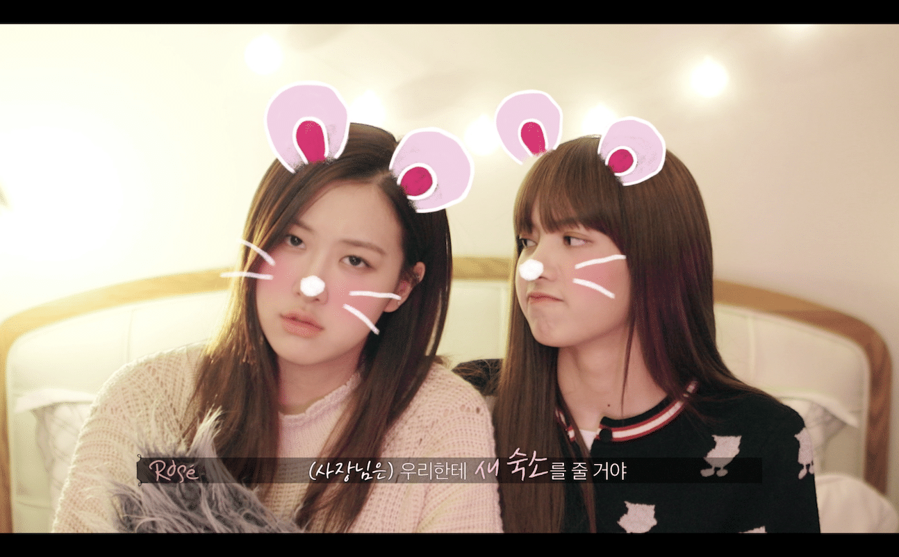 위버스 BLACKPINK Media - BLACKPINK - ‘블핑하우스 (BLACKPINK HOUSE)’ TEASER : ROSÉ & LISA ver.