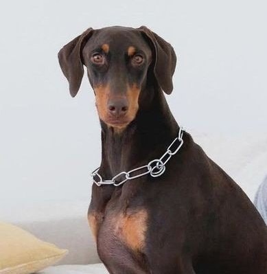 BTS Community Post - https://global.idolplus.com/vote/MzJkOTM5ND 投票をしないとBTSを見ることができません。ご協力お願いします ...