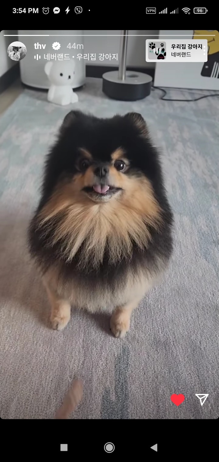 BTS Community Post - Baby Tannie🥰🥰🥰