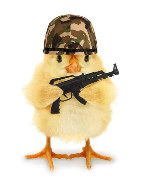 BTS Community Post - Baby Mochi in the SM 💗 #Libby