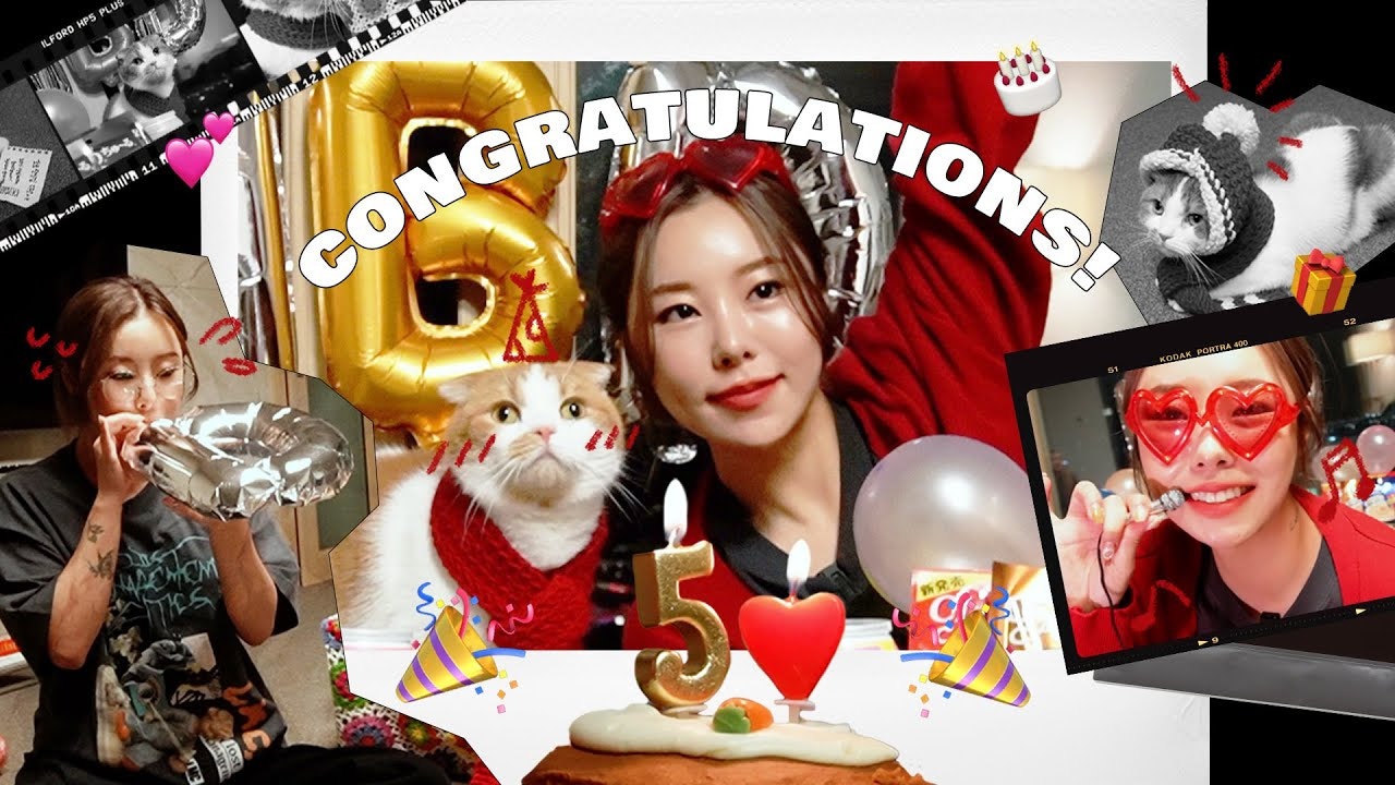 Weverse Whee In Media Vlog 주인님 생일에 진행 축하 무대까지 하는 집사의 바쁜 일상 ※고양휘 많이 나옴 휘인 반려묘 꼬모 집사 생일파티
