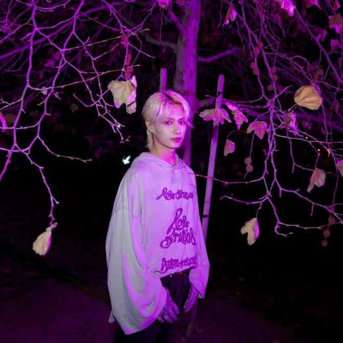 SEVENTEEN Community Posts - Shadow, with her veil drawn, follows Light ...