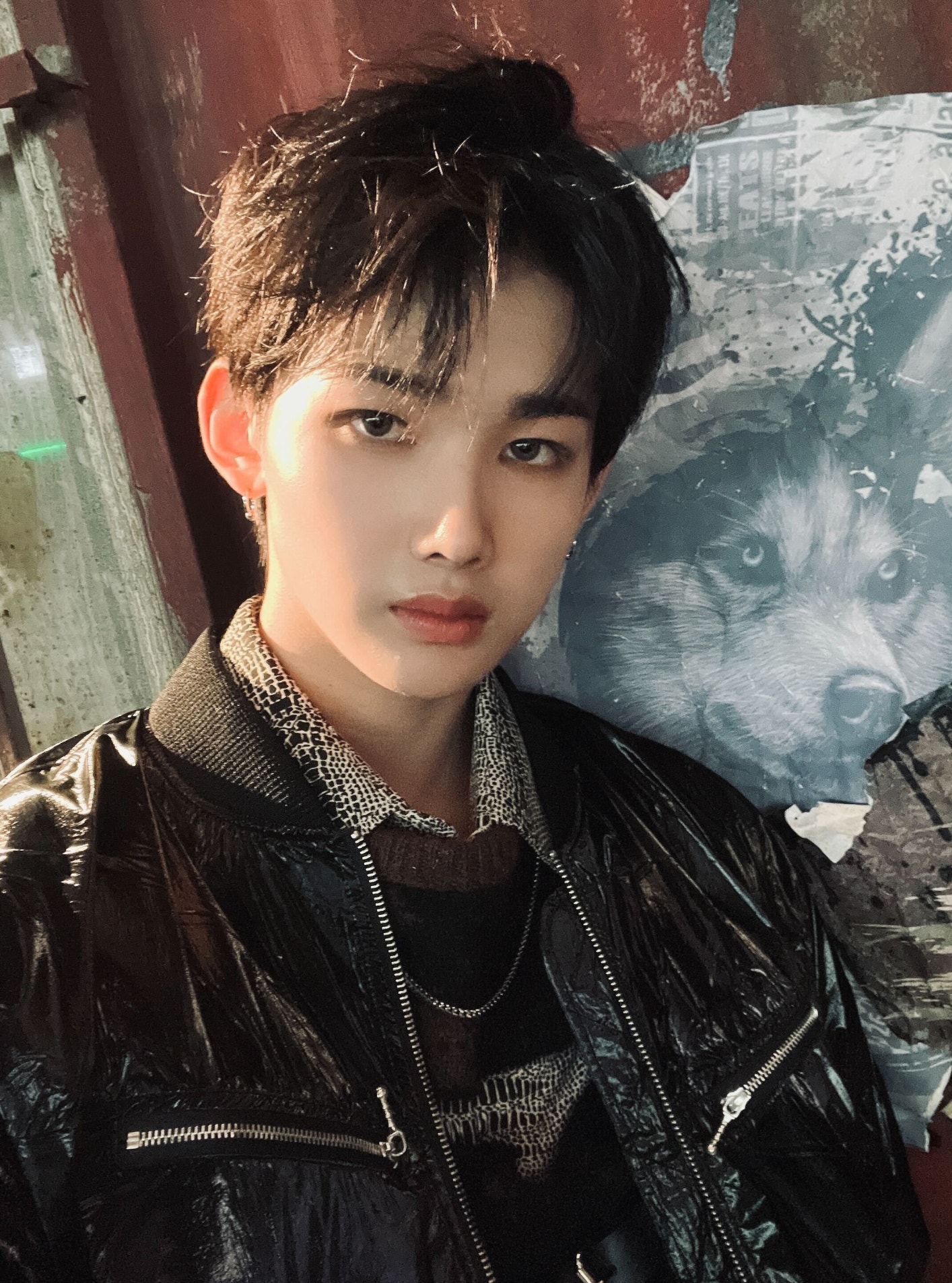 &TEAM Community Posts - 카밀🐺 - JO