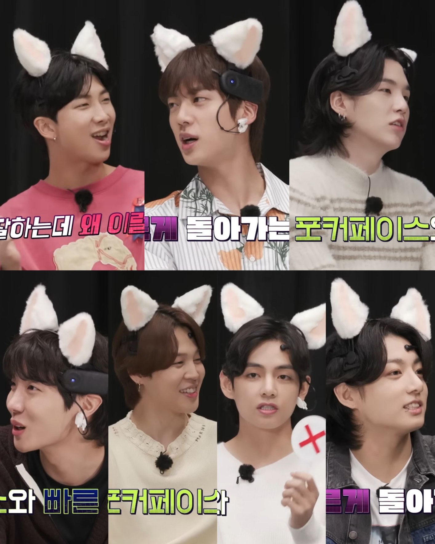 BTS Community Post - our cute kitty🤭🤭