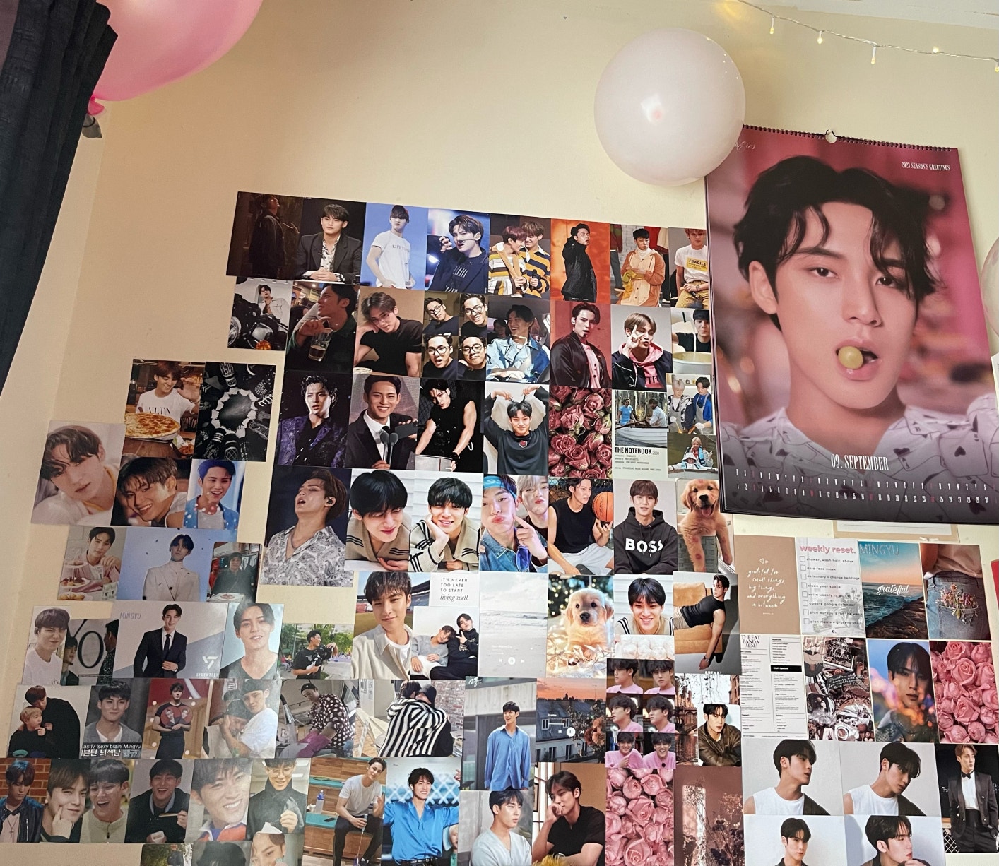 SEVENTEEN 커뮤니티 포스트 - Happy birthday mingyu! 🥳Thank you for another year ...