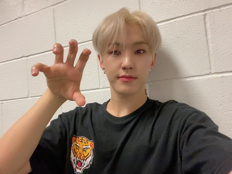 SEVENTEEN Community Posts - i like Tiger Hoshi...😊😊😊 But I love Hamster ...