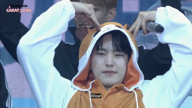 SEVENTEEN Community Posts - i like Tiger Hoshi...😊😊😊 But I love Hamster ...