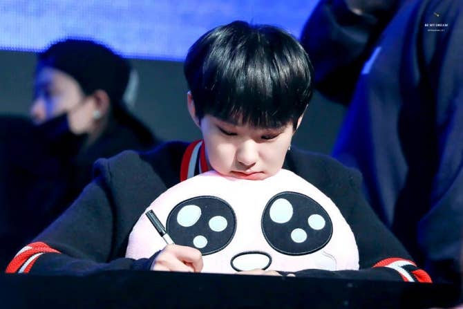 SEVENTEEN Community Posts - i like Tiger Hoshi...😊😊😊 But I love Hamster ...