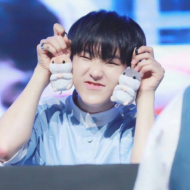 SEVENTEEN Community Posts - i like Tiger Hoshi...😊😊😊 But I love Hamster ...