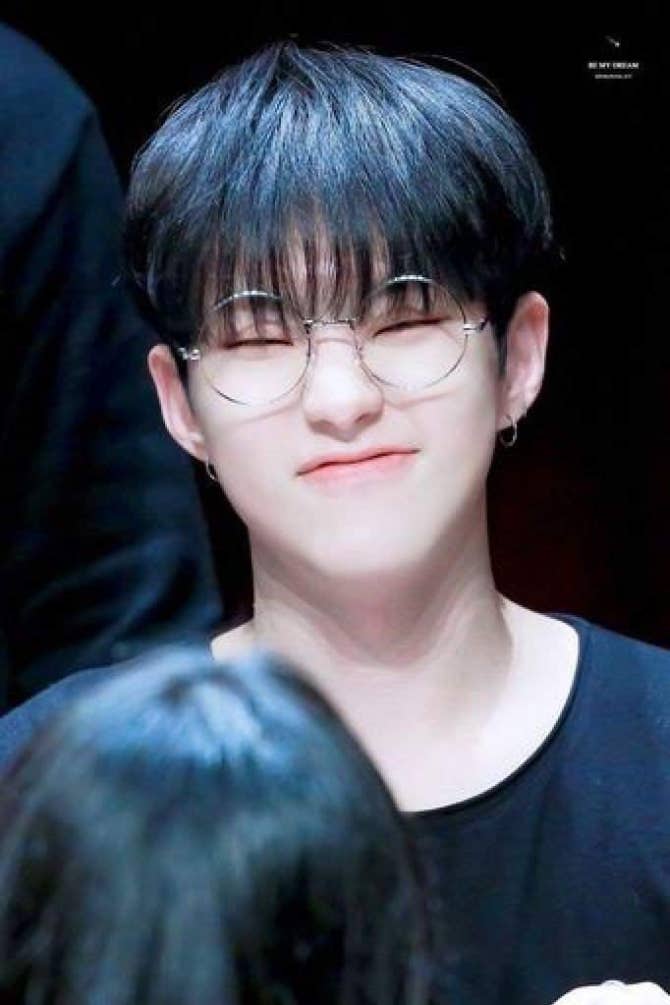 SEVENTEEN Community Posts - i like Tiger Hoshi...😊😊😊 But I love Hamster ...