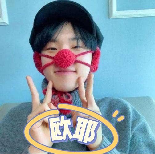 Seventeen Community Post 너무 슬프다 한 중국인으로서 당신들의 말을 알아듣지 못하고 영어로 번역해야