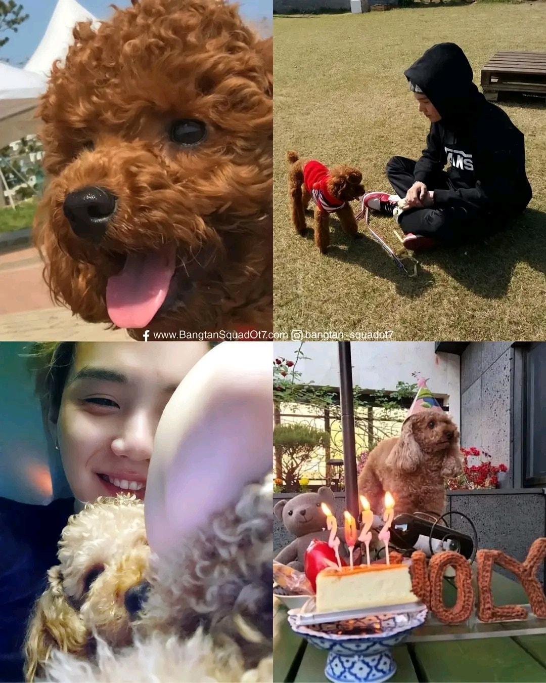 BTS Community Posts - Hoy es el cumpleaños de Min Holly, la bendi de ...