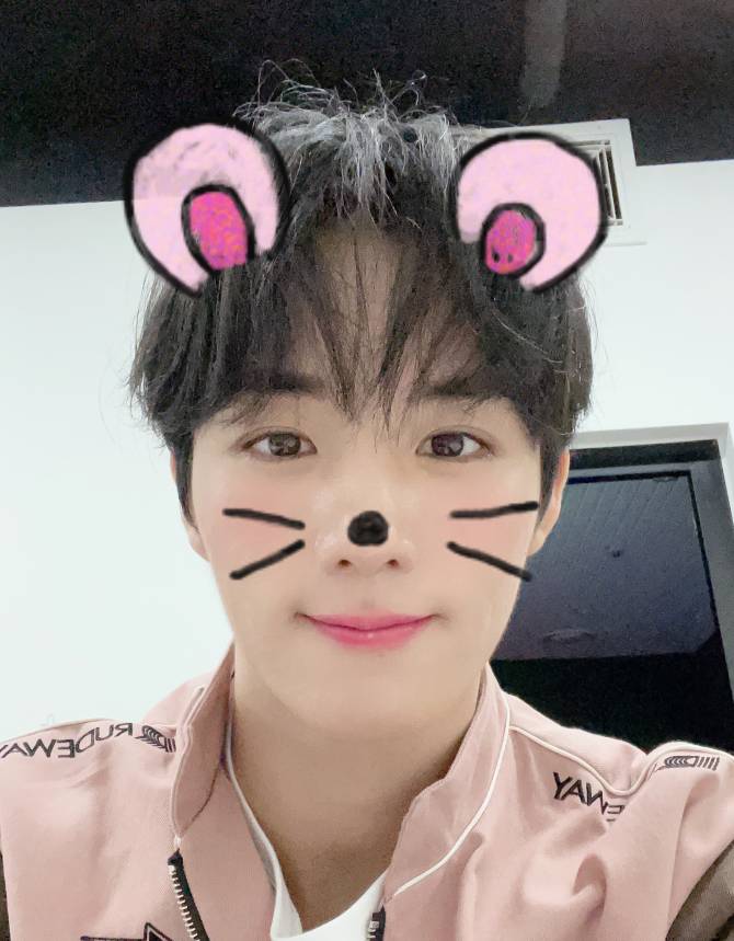 Atbo Community Post 핑크 정쥐 2마리🐭🐭 핑크 정토끼 1마리🐰 Jeongseunghwan