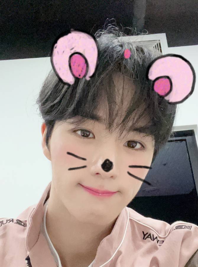 Atbo Community Post 핑크 정쥐 2마리🐭🐭 핑크 정토끼 1마리🐰 Jeongseunghwan