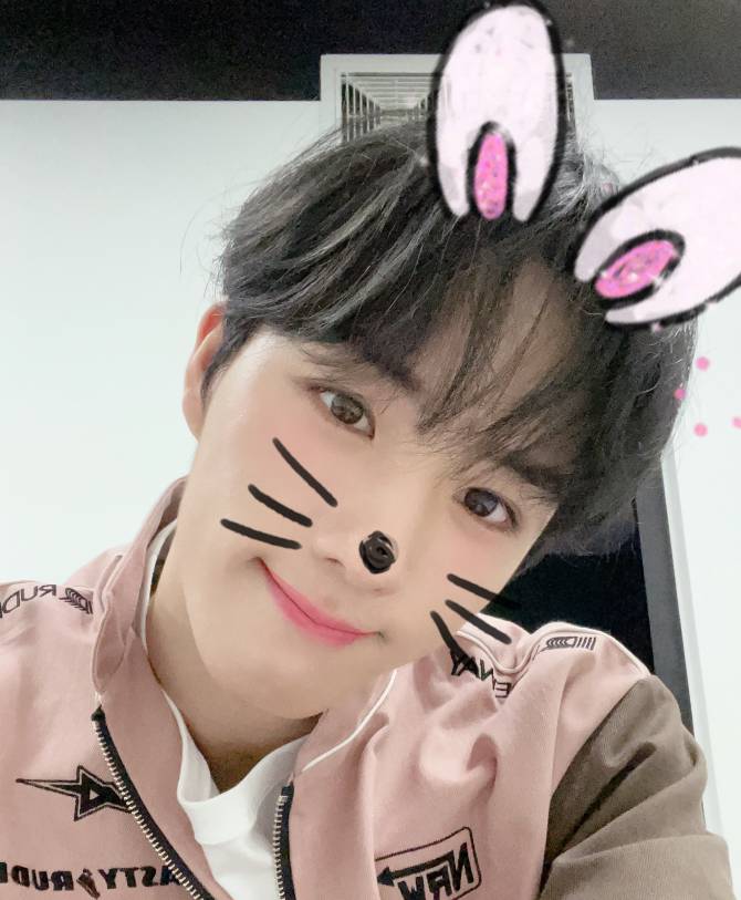 Atbo Community Post 핑크 정쥐 2마리🐭🐭 핑크 정토끼 1마리🐰 Jeongseunghwan