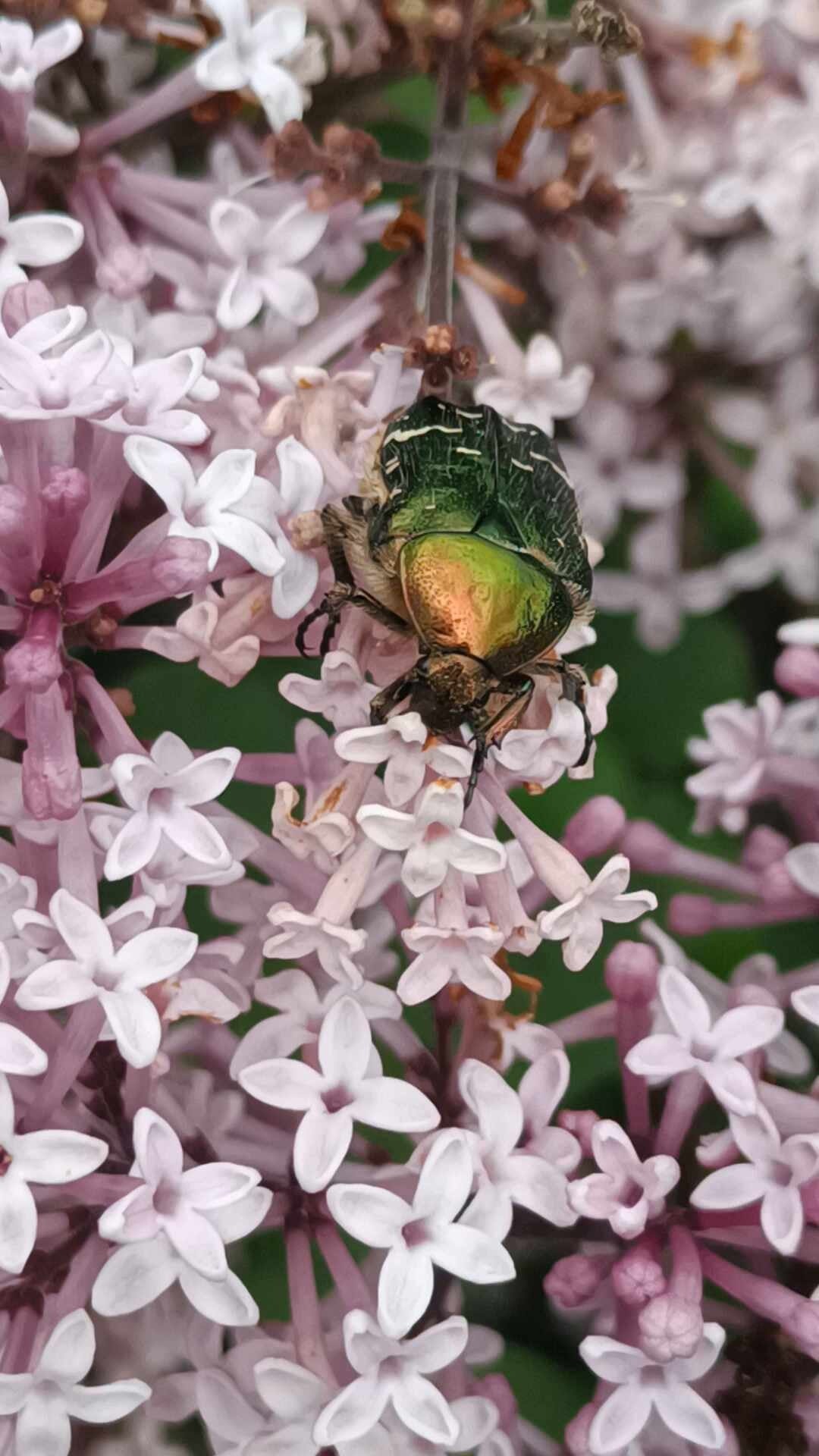 BTS Community Post - #to_bts #SkyForNamjoon I was in the French ...