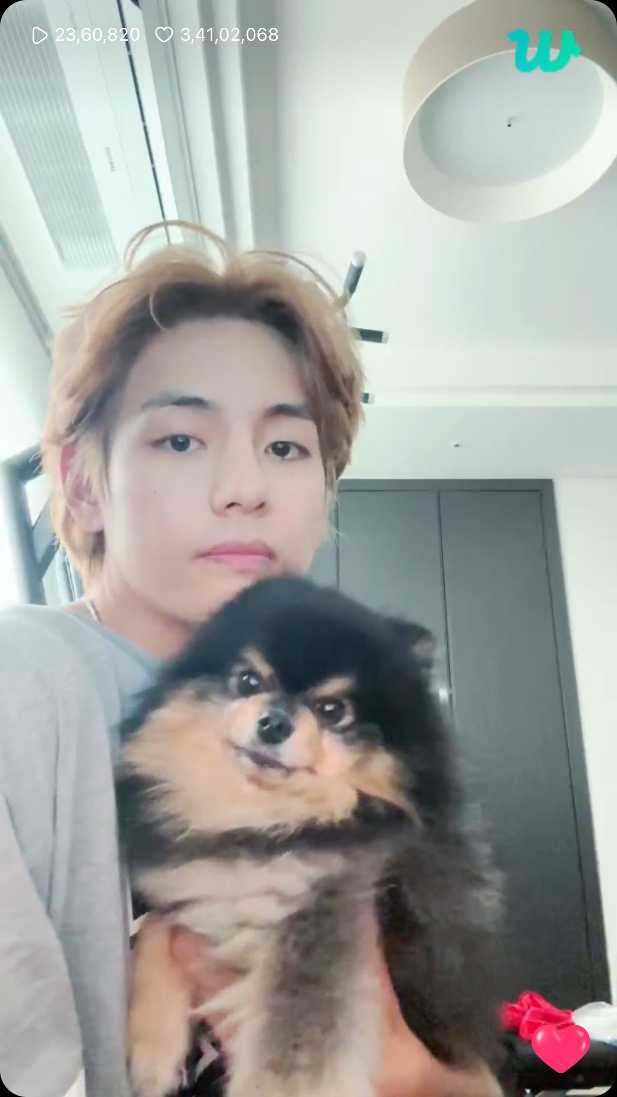 BTS Community Post - V cute LIVE💜 moments🐶💫