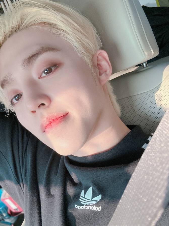 Seventeen Community Posts ๊ฐ๋ง๐ฉต Scoups