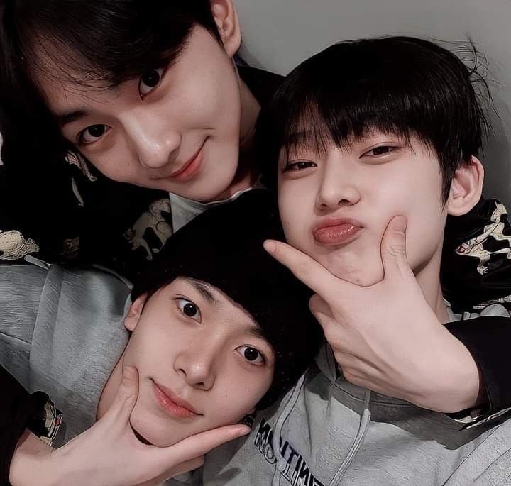 ENHYPEN Community Posts - i'm crying 😭😭😭 they are all beautiful