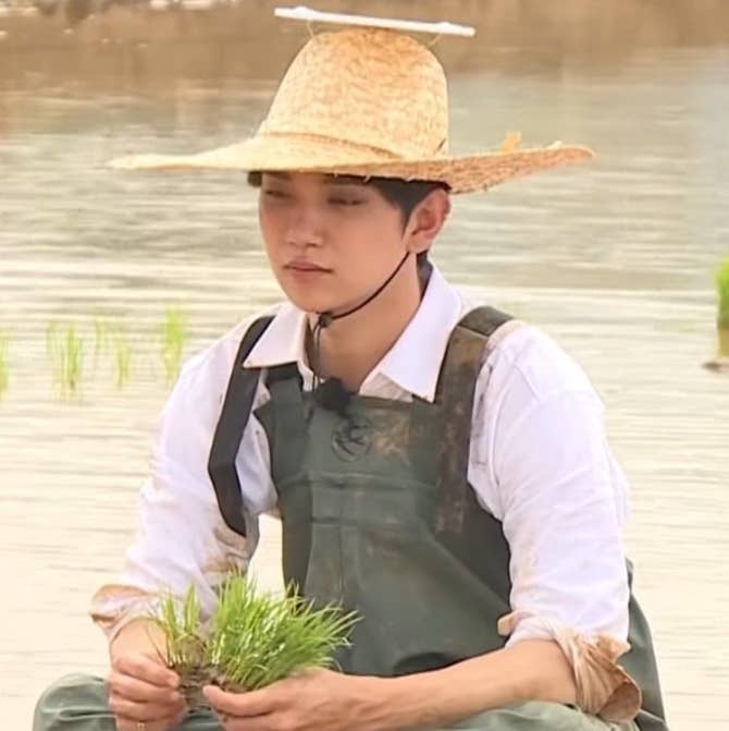 Seventeen Community Post 안뇽 애기 캐럿 여기있어요 근데 내가 왜 세봉이 너무 늦게 사랑하니 좀 더