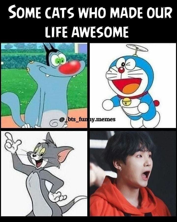 BTS Community Posts - Some cats who made our Life awesome 🤧🤧