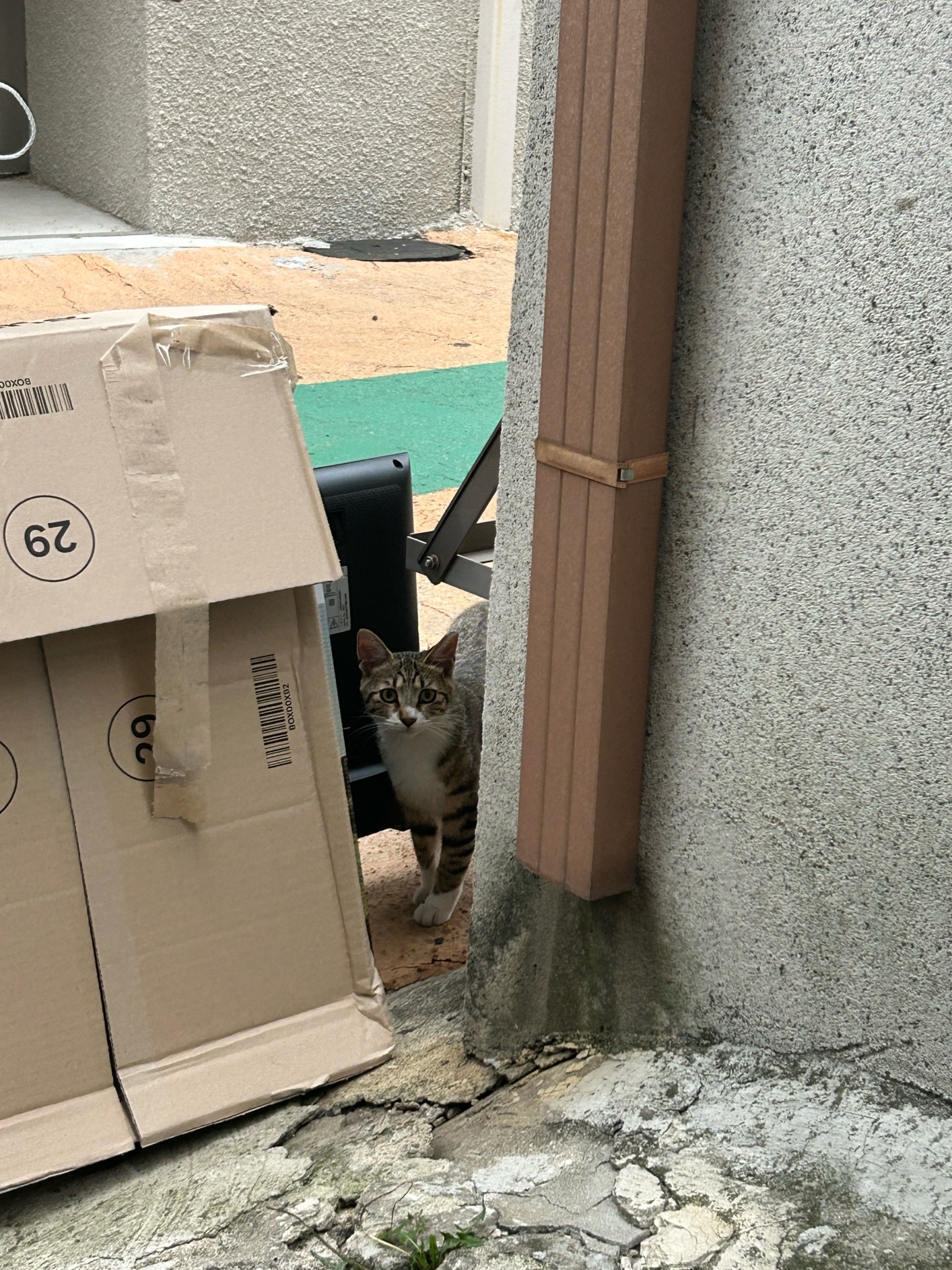 Onf Community Posts 디어균이 갑자기 비가 많이 온네 그래도 오후 짐중하게 공부할수 있기 위해 나가서