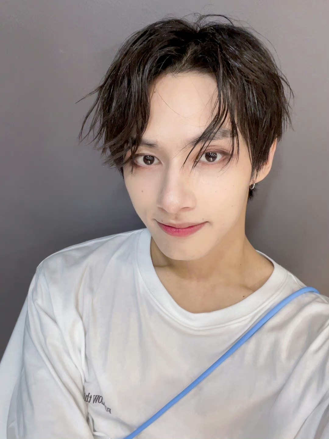 SEVENTEEN Community Posts - jun呐绝美布偶猫