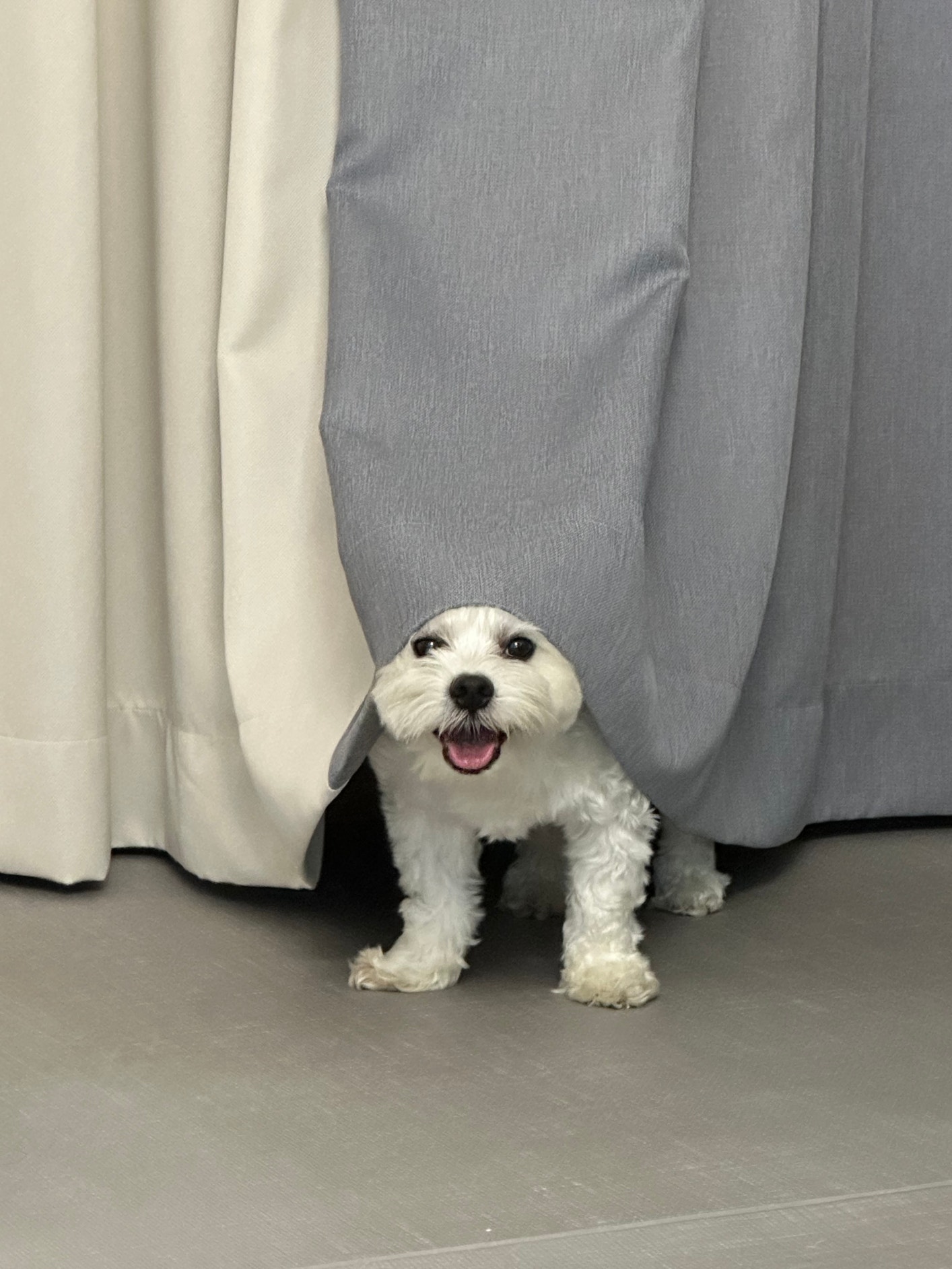 ENHYPEN Community Posts - 강얼쥐 - JUNGWON