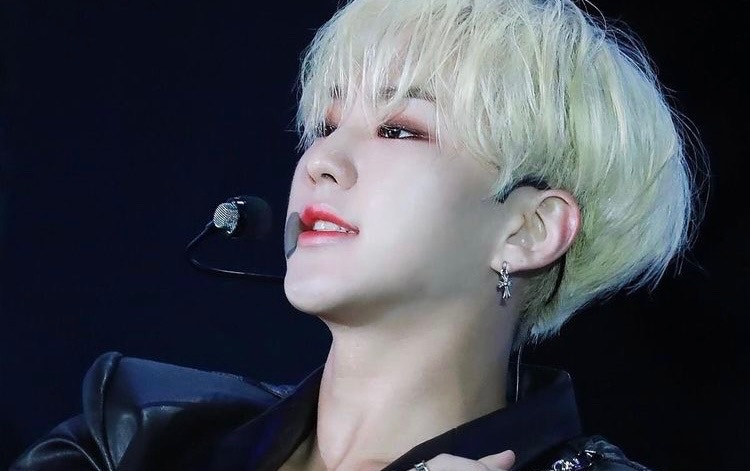 Seventeen Community Post 캐러뜰 셉틴 플리 만들려구 하는데 우리 호시 사진 멀로 할지 정해주세염 섹시